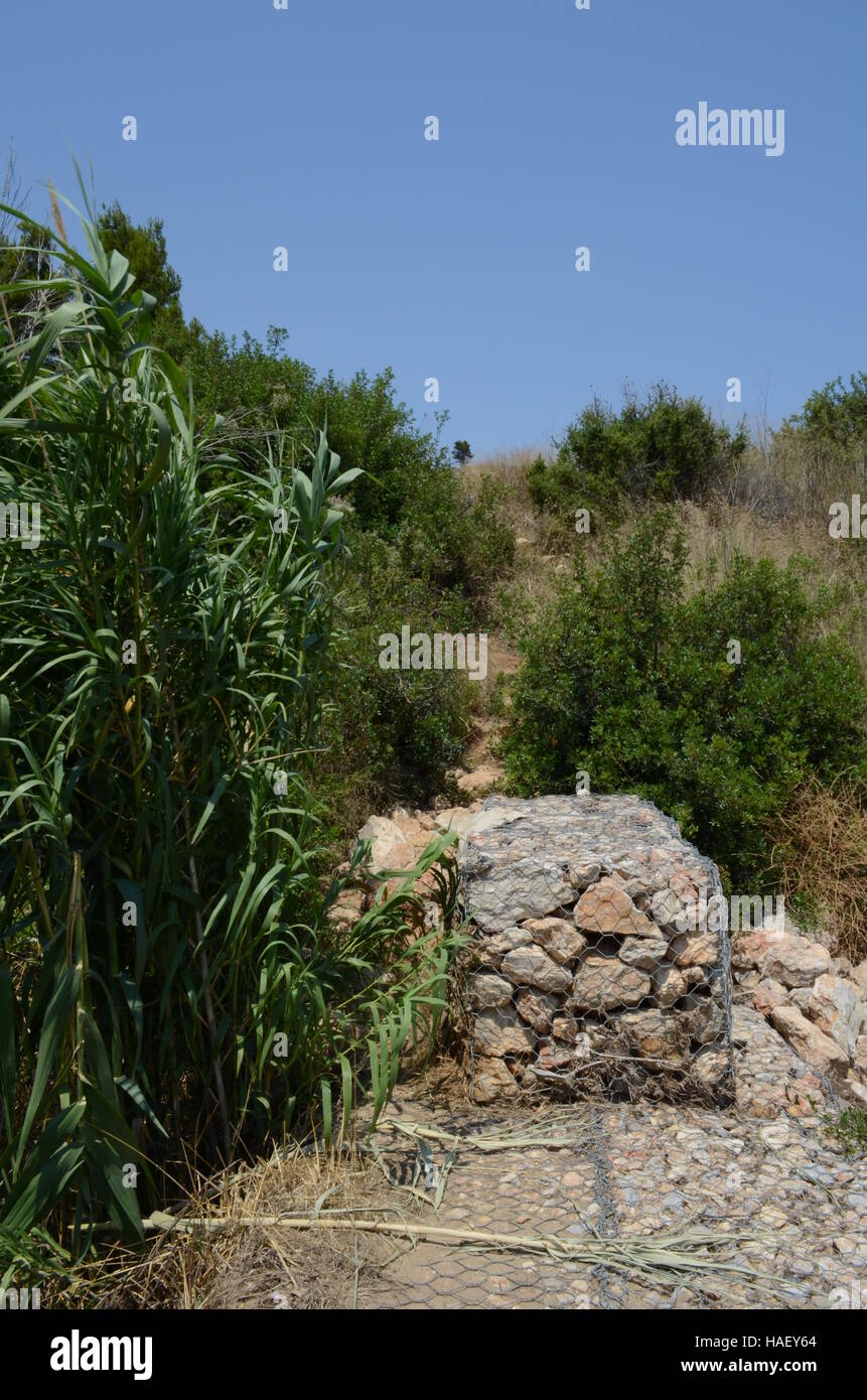 Nature photography out in the open space Stock Photo - Alamy