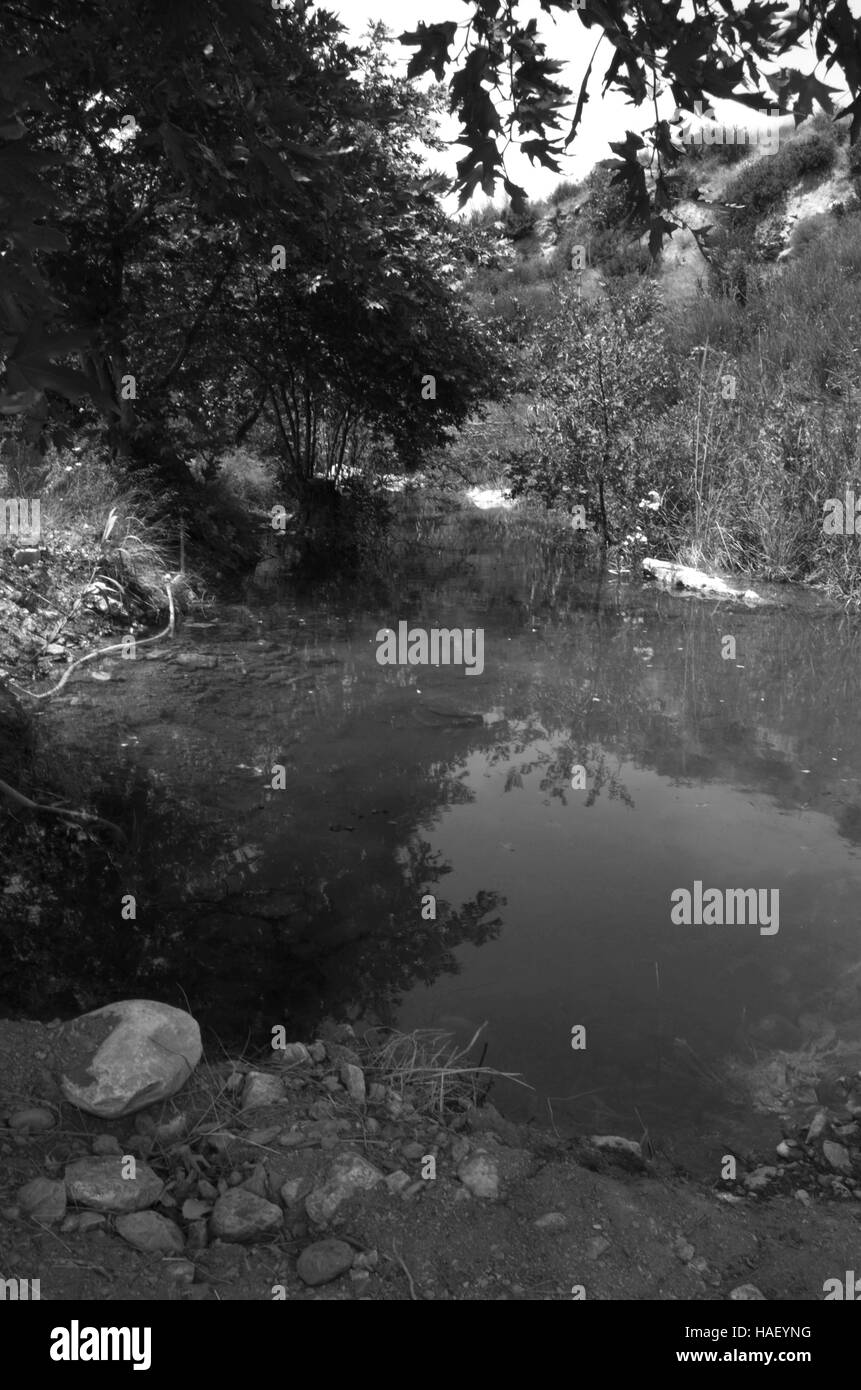 Nature photography out in the open space Stock Photo - Alamy