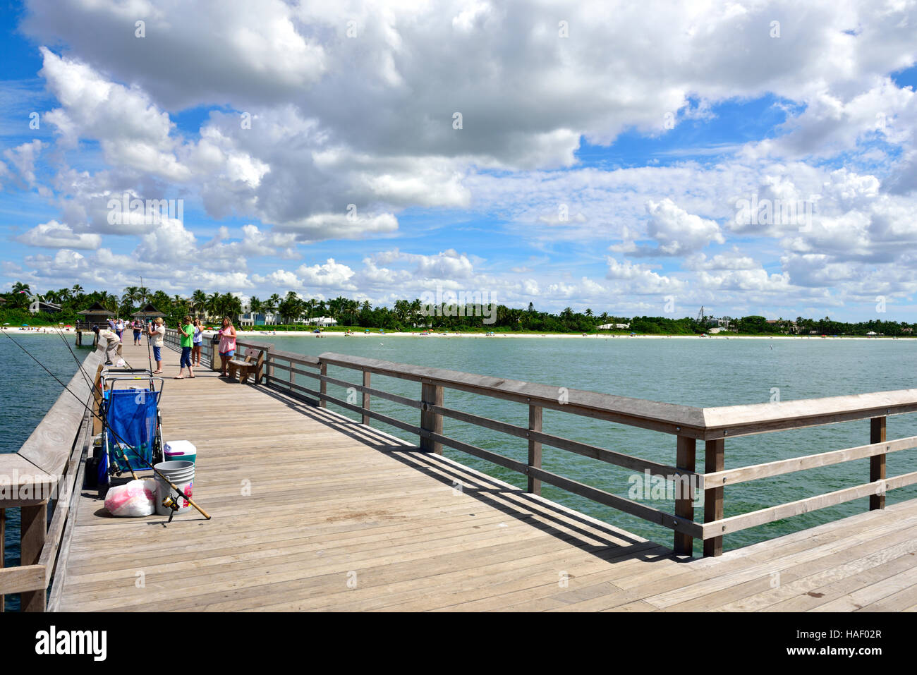 Looking back along Naples free public pier toward sandy beach, Golf of ...