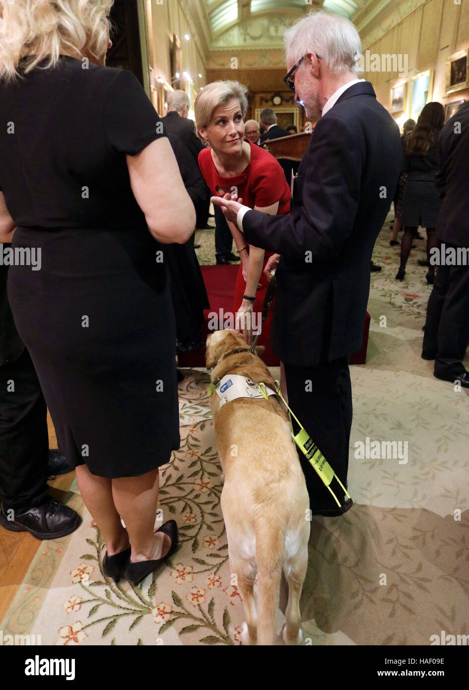 The Countess of Wessex speaks to a guest with a guide dog, during a ...
