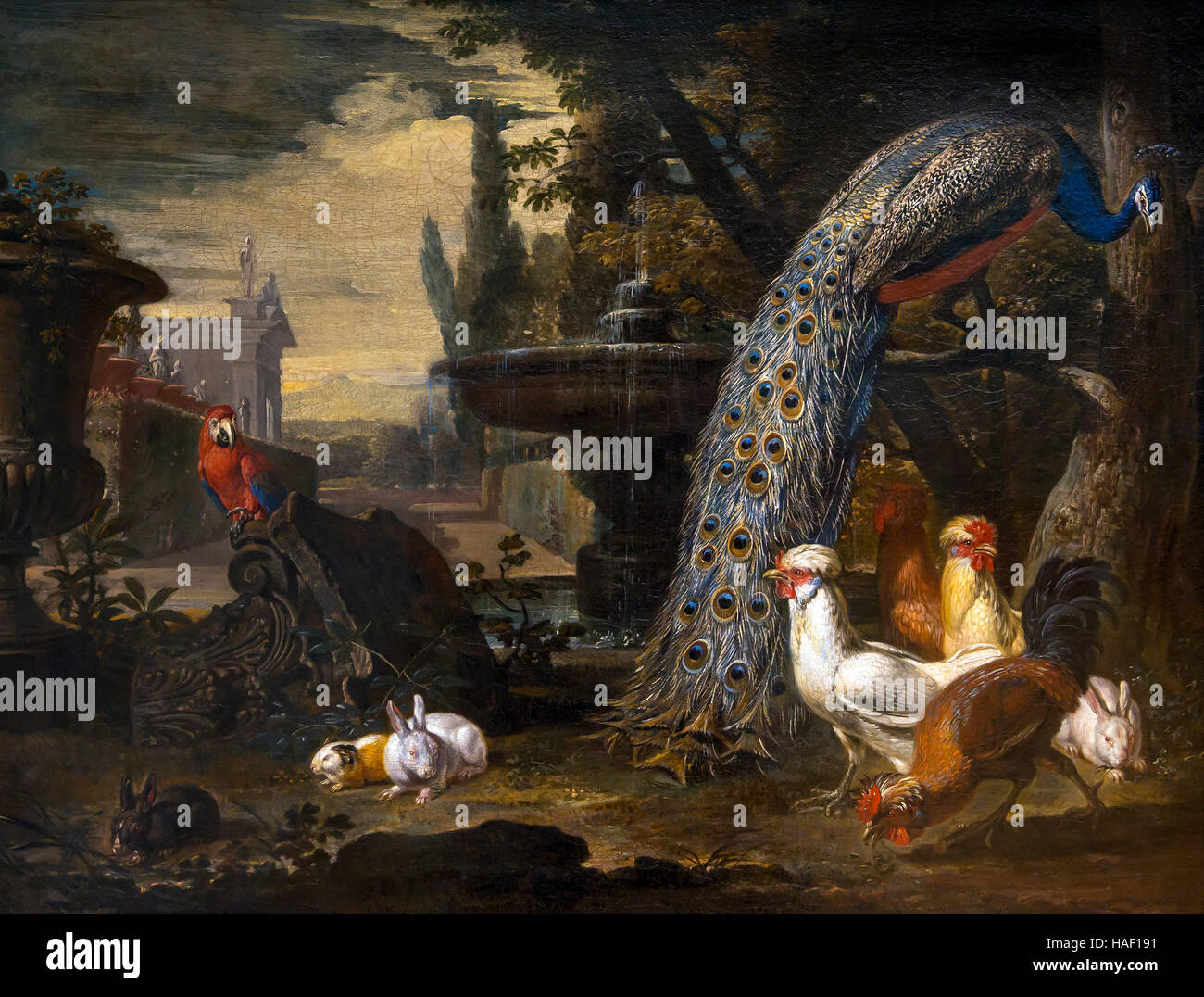 Animals hi-res stock photography and images - Alamy