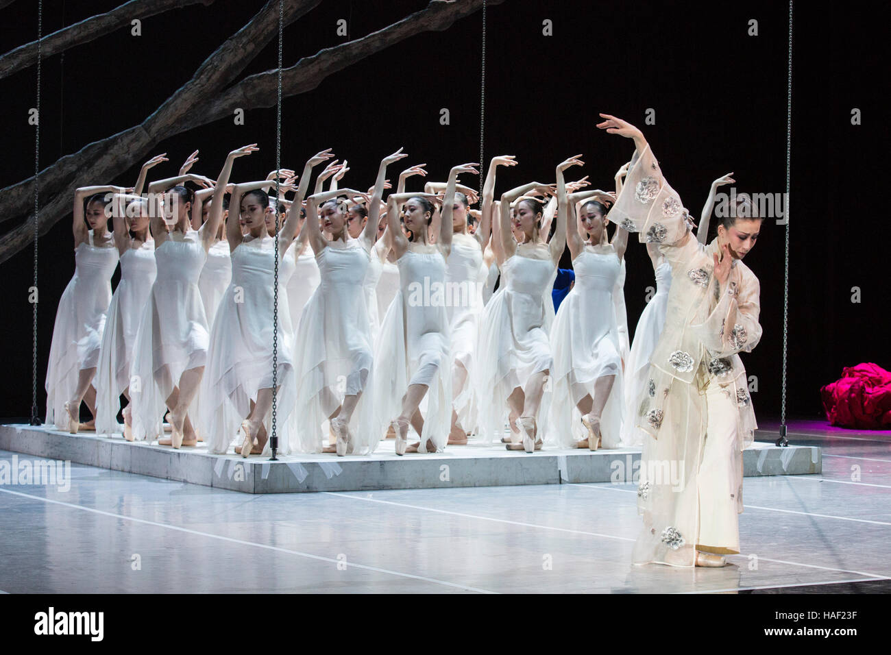 Yan zhu hi-res stock photography and images - Alamy