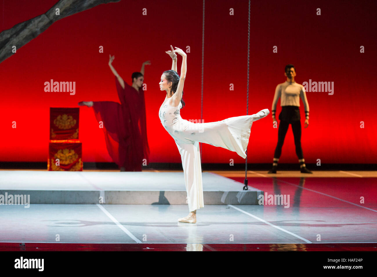 Chinese national flower peony hi-res stock photography and images - Alamy