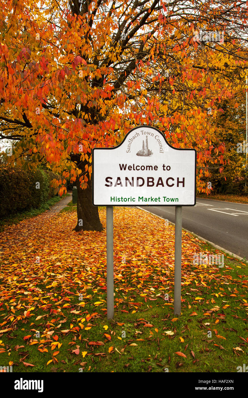 Road sign saying welcome to Sandbach Cheshire with overhanging tree in ...