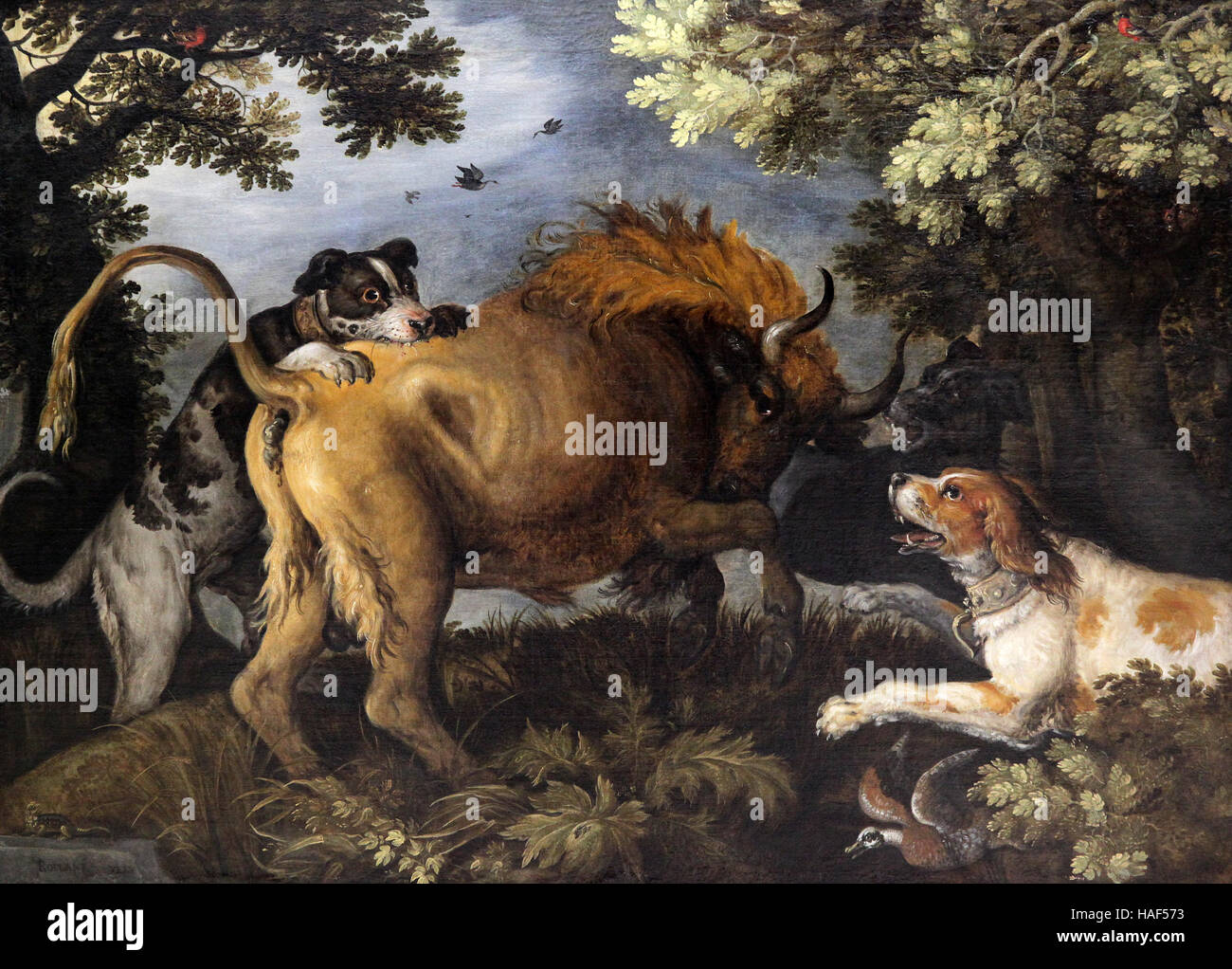 Roelant hi-res stock photography and images - Alamy