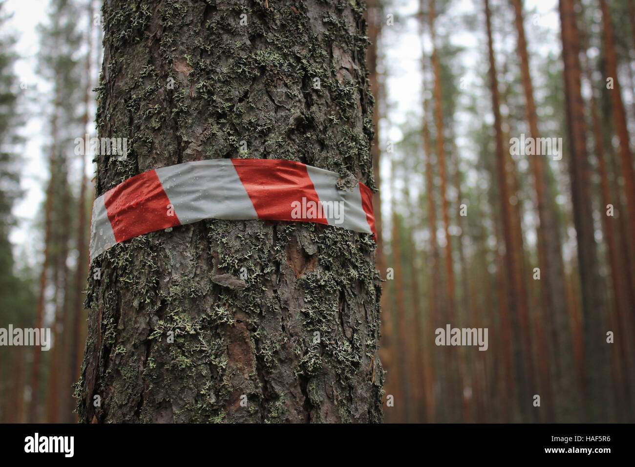 Labeled tree hi-res stock photography and images - Alamy
