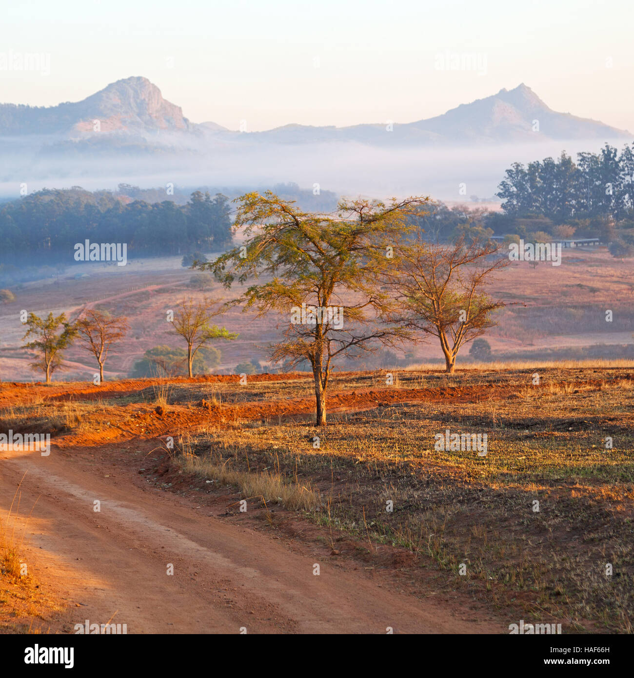 blur in swaziland mlilwane wildlife nature reserve mountain and tree ...