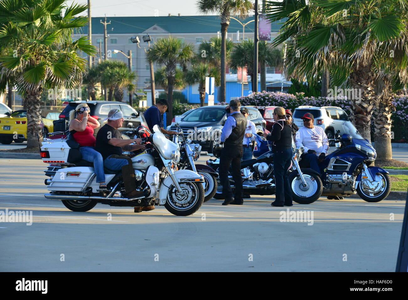 Harley Davidson Motorcycles at Galveston in Texas Stock Photo - Alamy