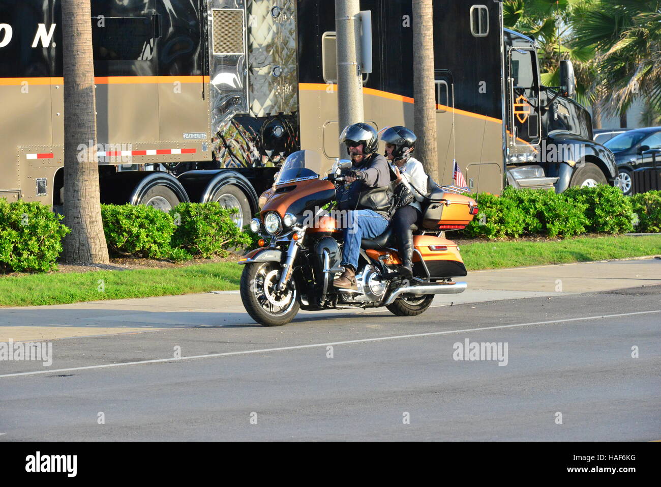 Harley Davidson Motorcycles at Galveston in Texas Stock Photo - Alamy