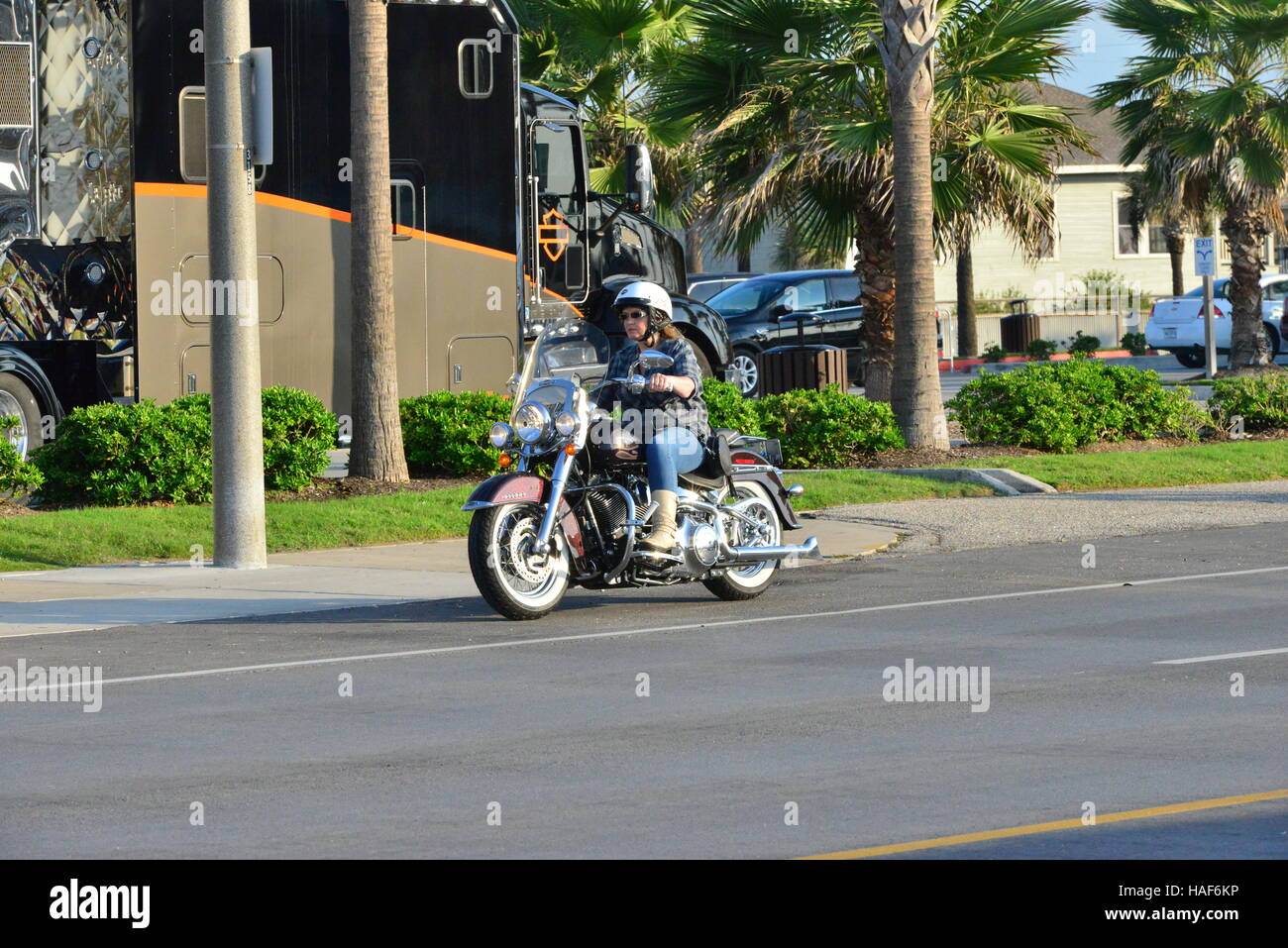 Harley Davidson Motorcycles at Galveston in Texas Stock Photo - Alamy
