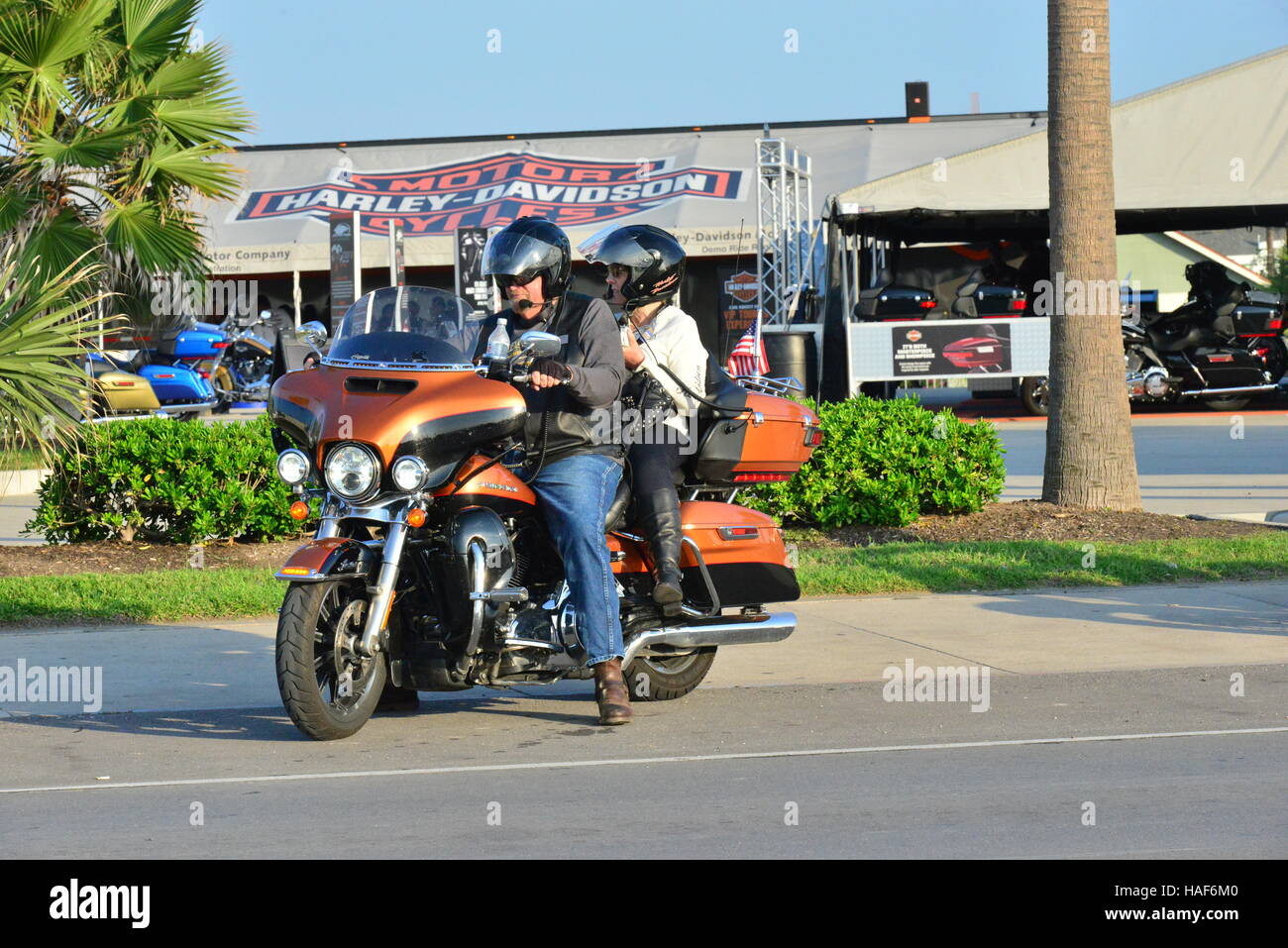 Harley Davidson Motorcycles at Galveston in Texas Stock Photo - Alamy