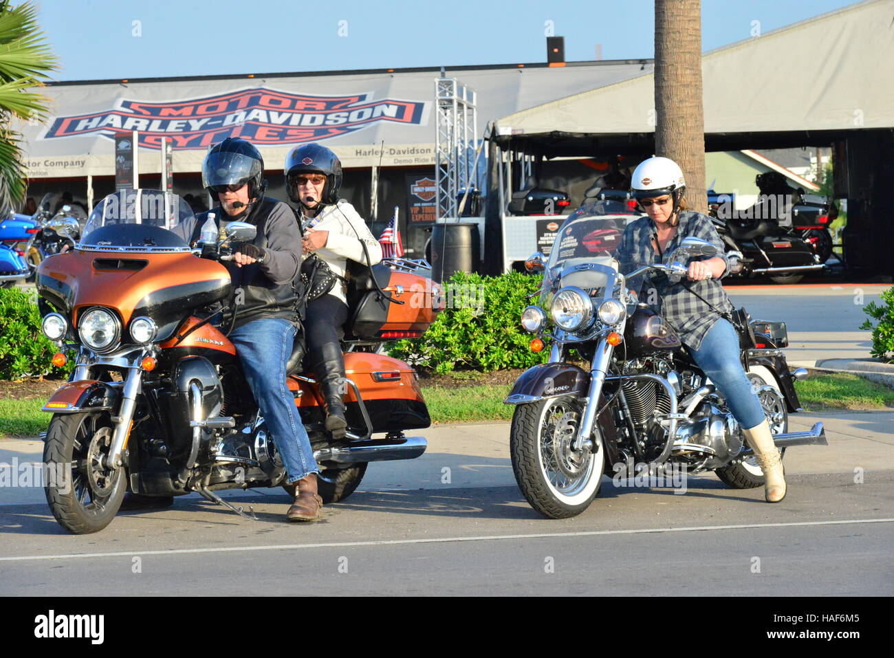 Harley Davidson Motorcycles at Galveston in Texas Stock Photo - Alamy