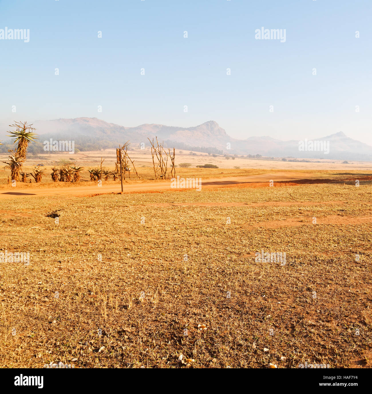 blur in swaziland mlilwane wildlife nature reserve mountain and tree ...