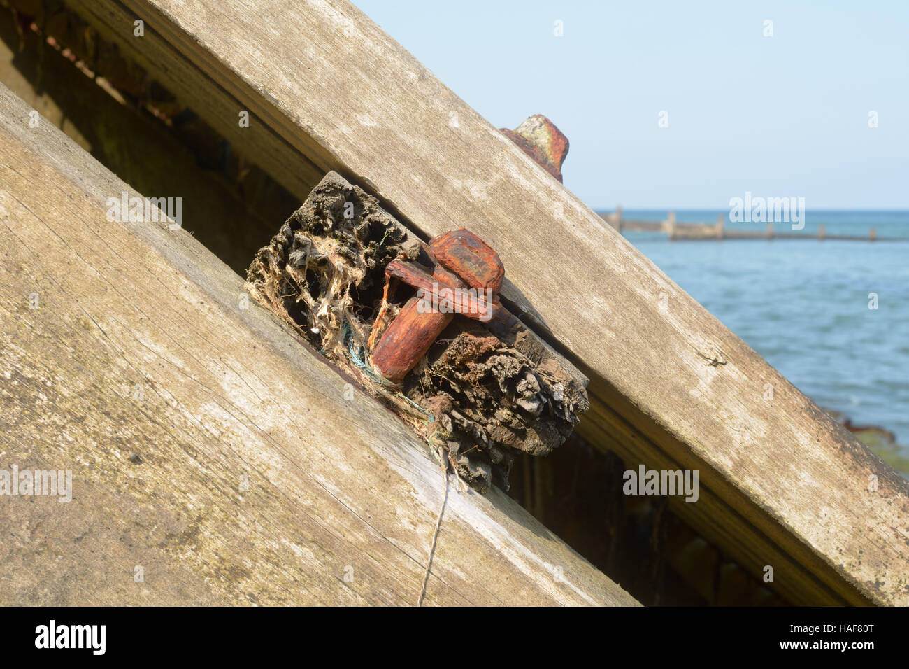 Rusted nuts and bolts on wooden sea defences damaged in 2015 storms in ...