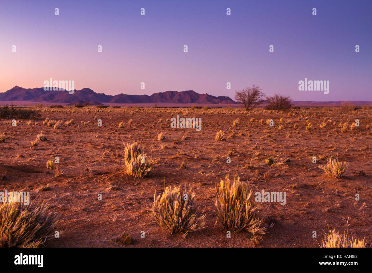 Wind blows across the drought stricken Namibian desert as the first ...