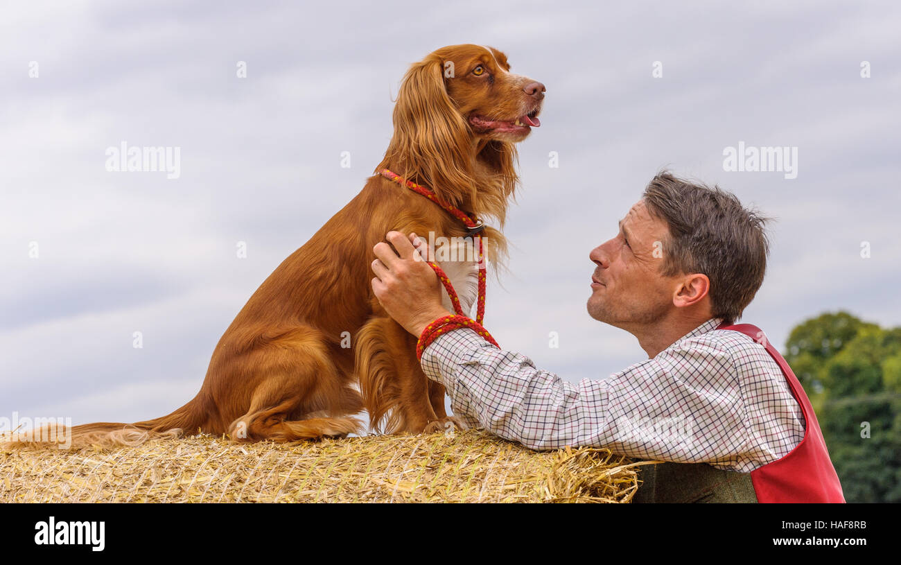 A man with a cocker spaniel sat on straw bale on a summers day Stock ...