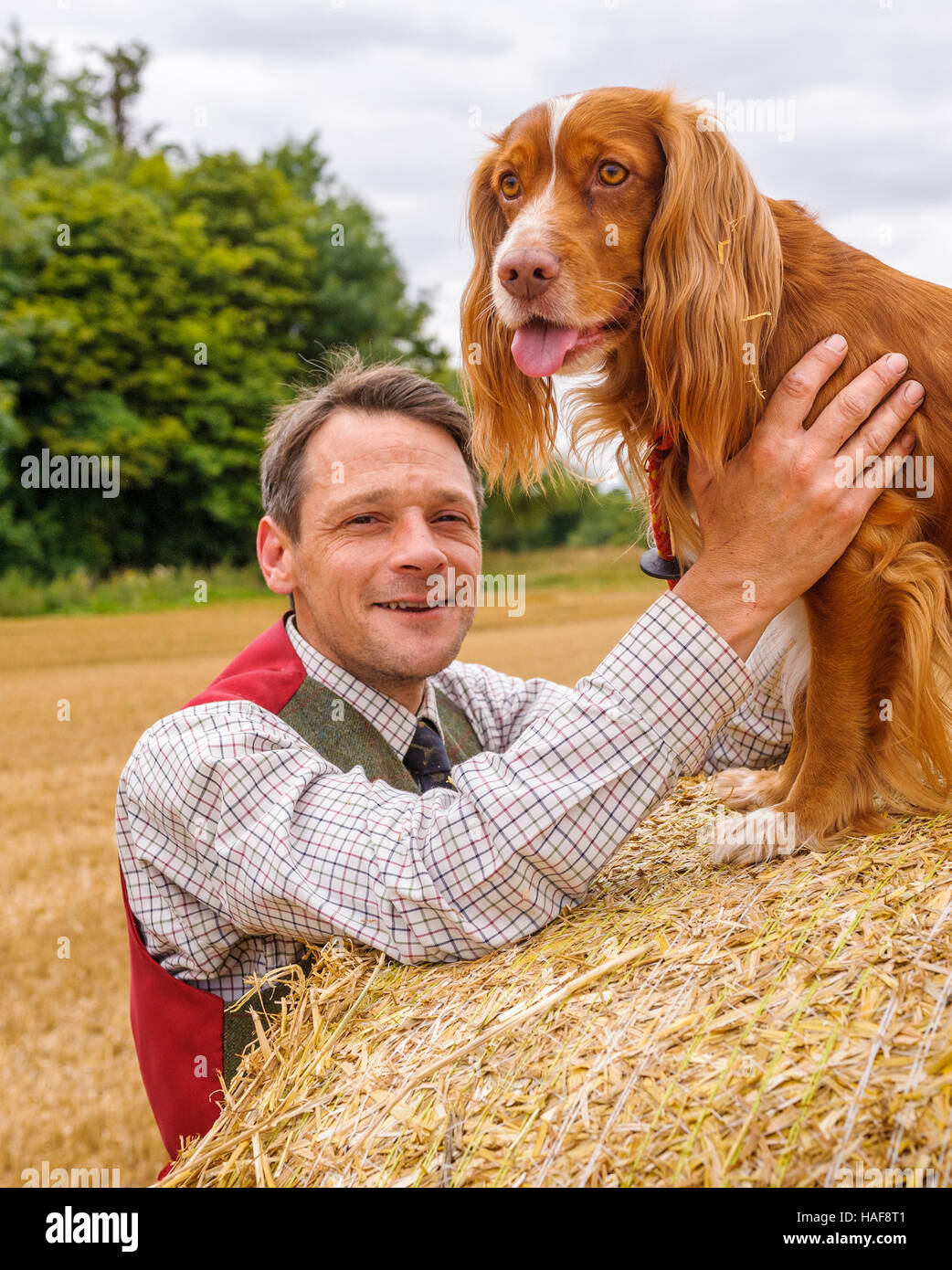 A man with a cocker spaniel sat on straw bale on a summers day Stock ...