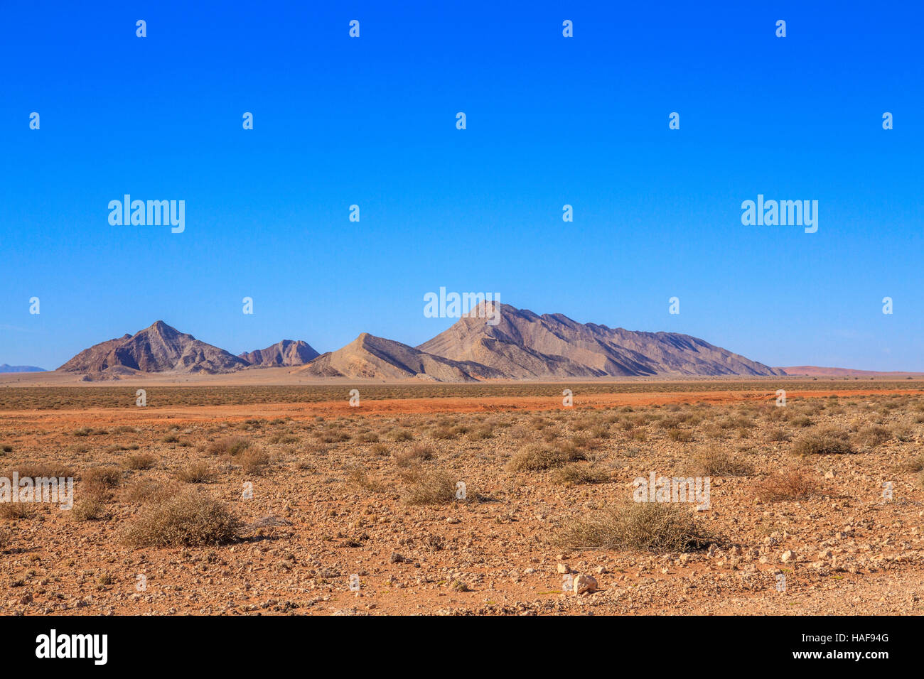 Sparse vegetation form lines of colour in the Namibian desert Stock ...