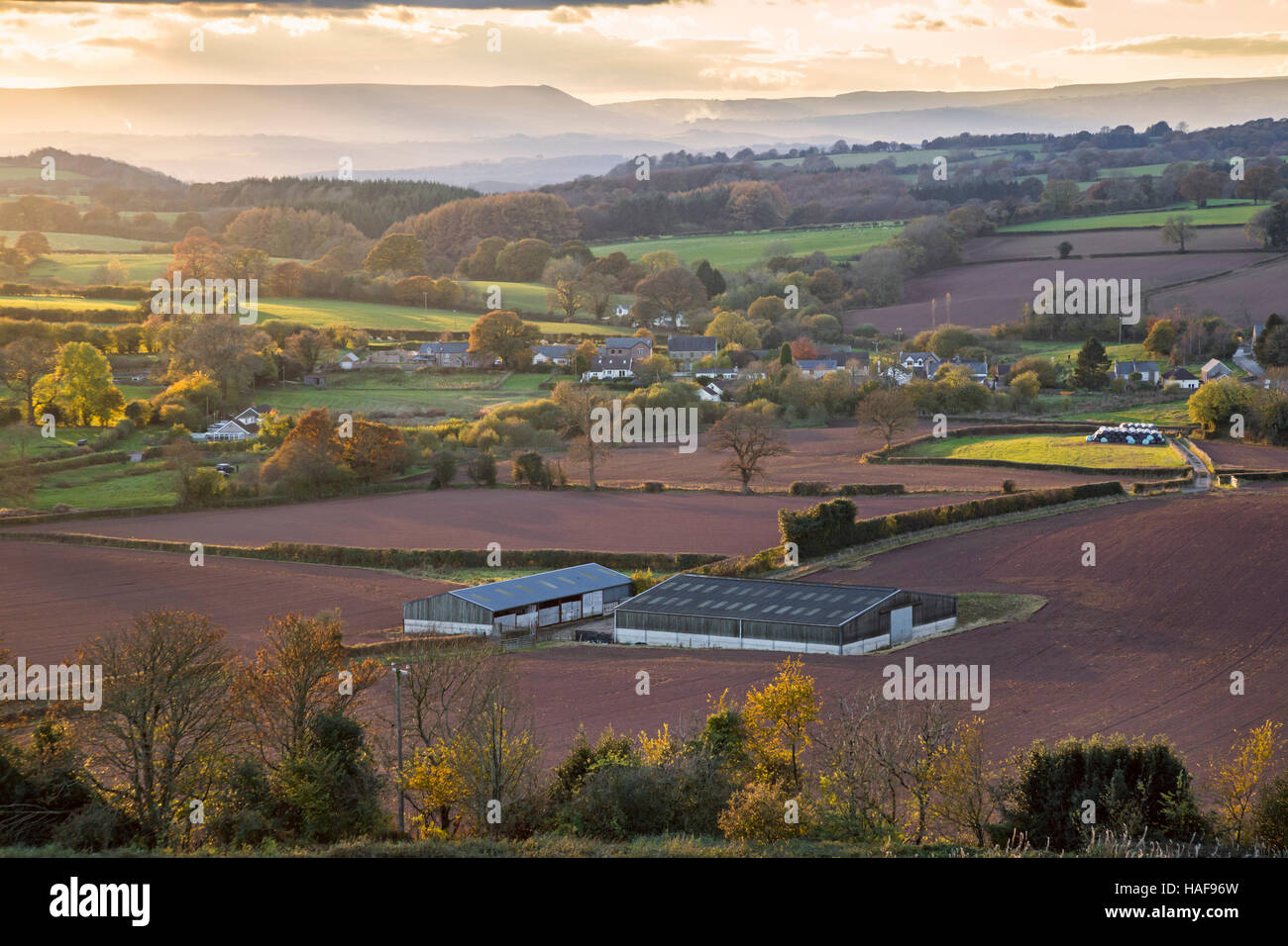 Welsh lowland farm in autumn Stock Photo - Alamy