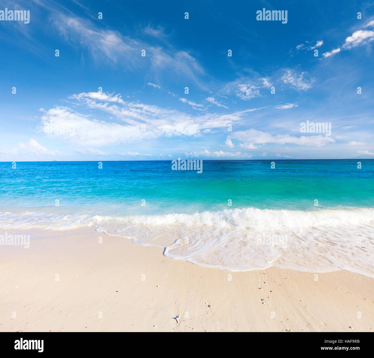 beach and tropical sea Stock Photo - Alamy