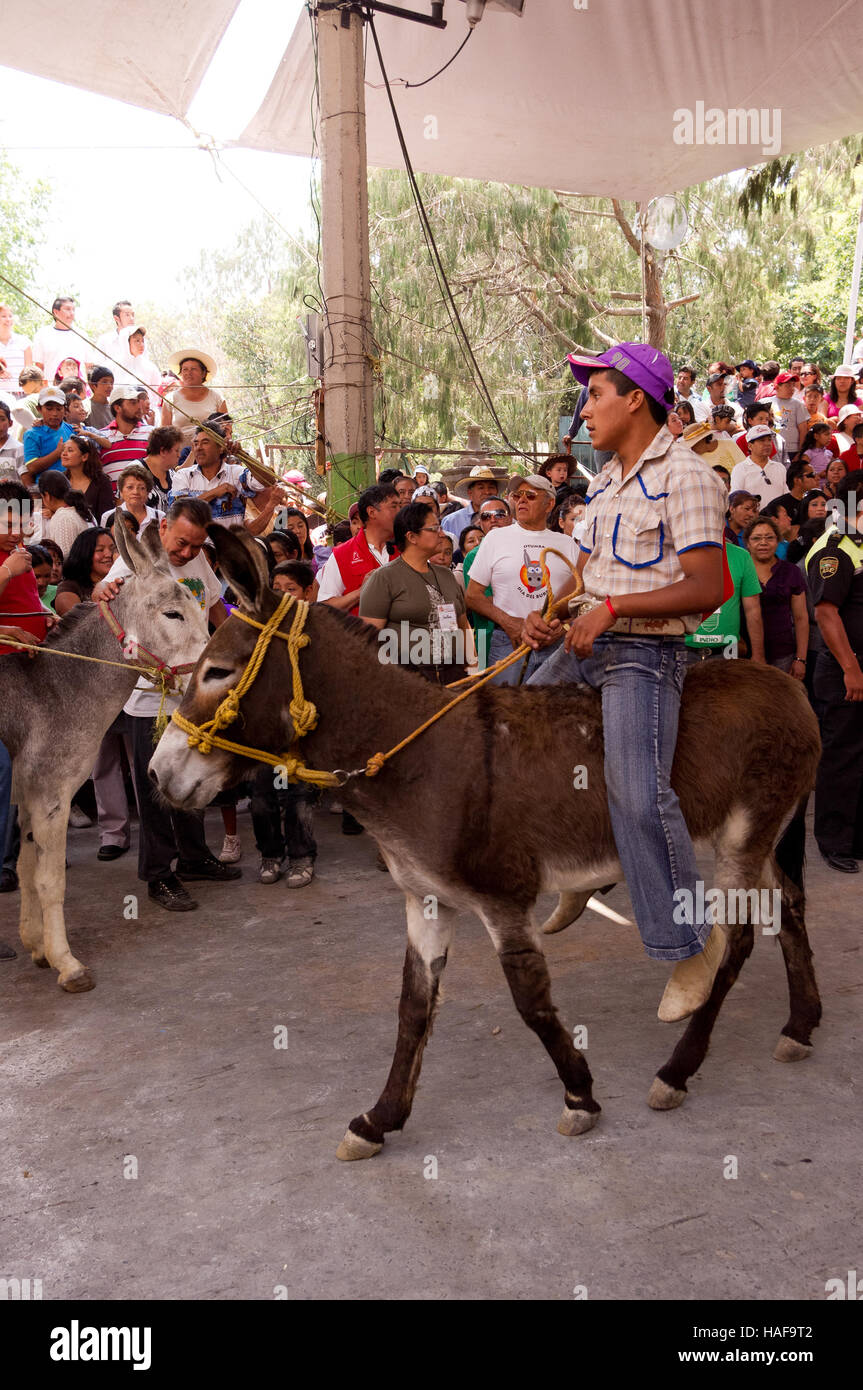 Traditional donkey race during the Donkey fair (Feria del burro) in ...