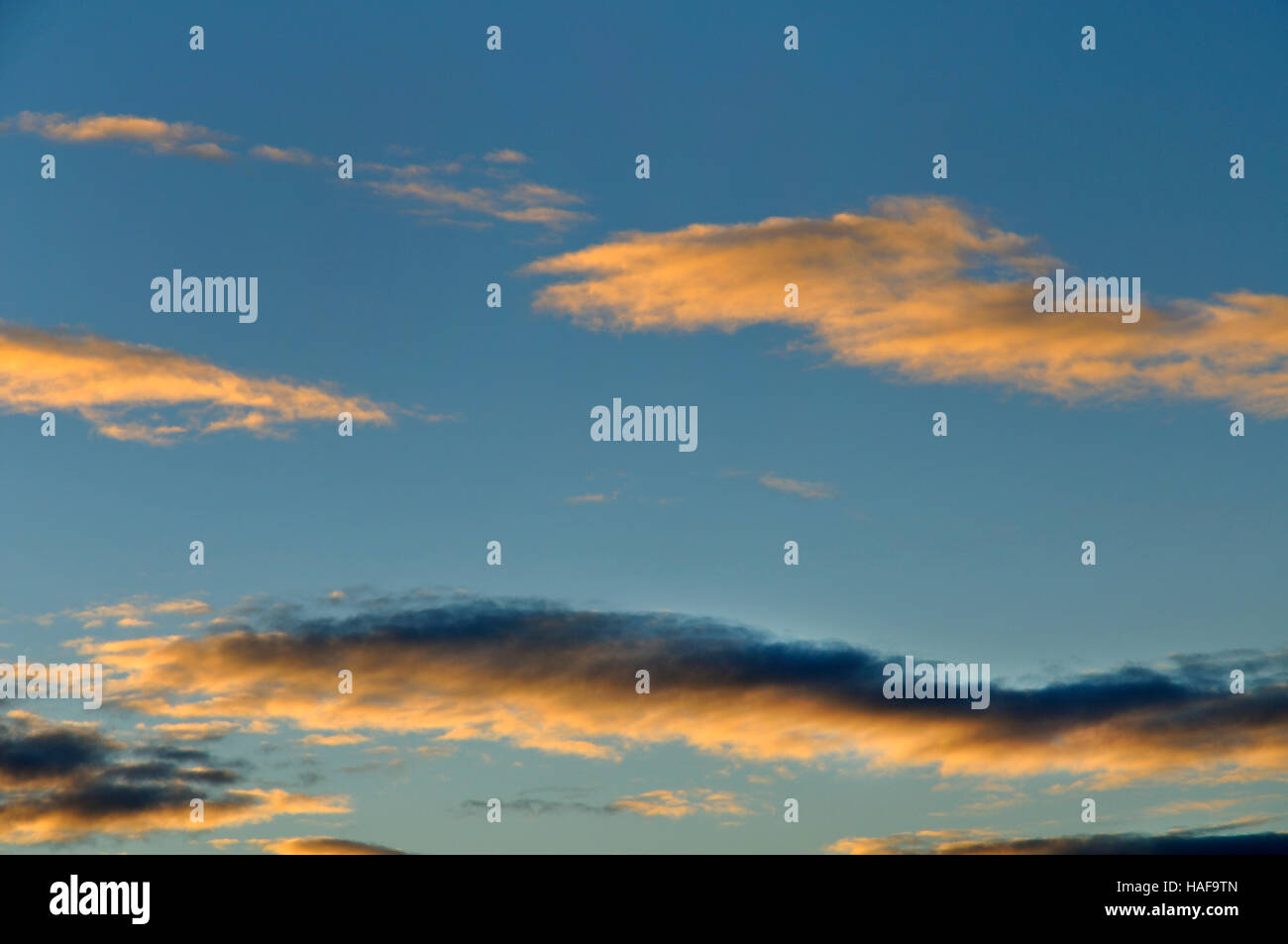 Morning weather hi-res stock photography and images - Alamy