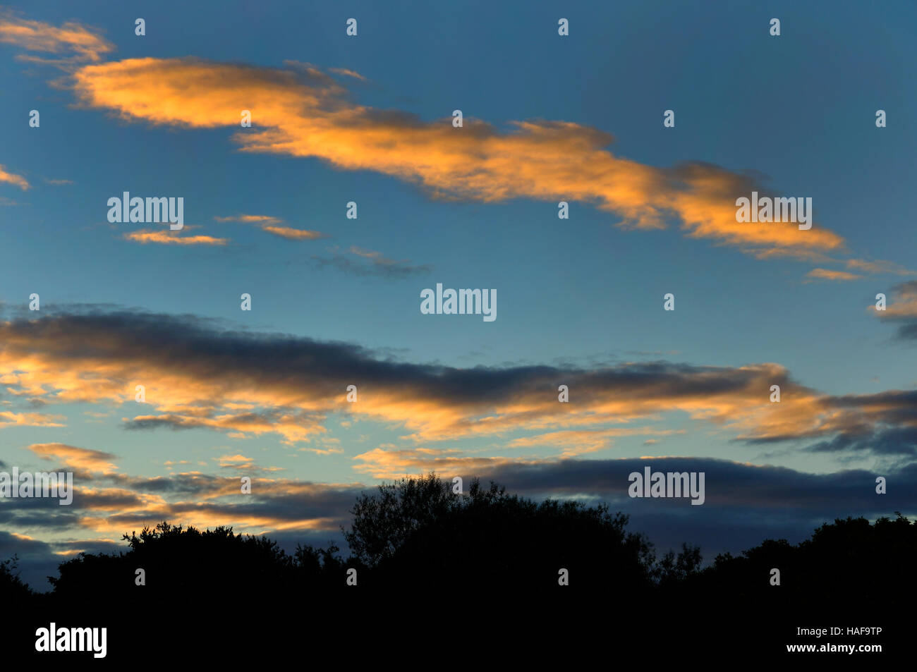 Morning weather hi-res stock photography and images - Alamy