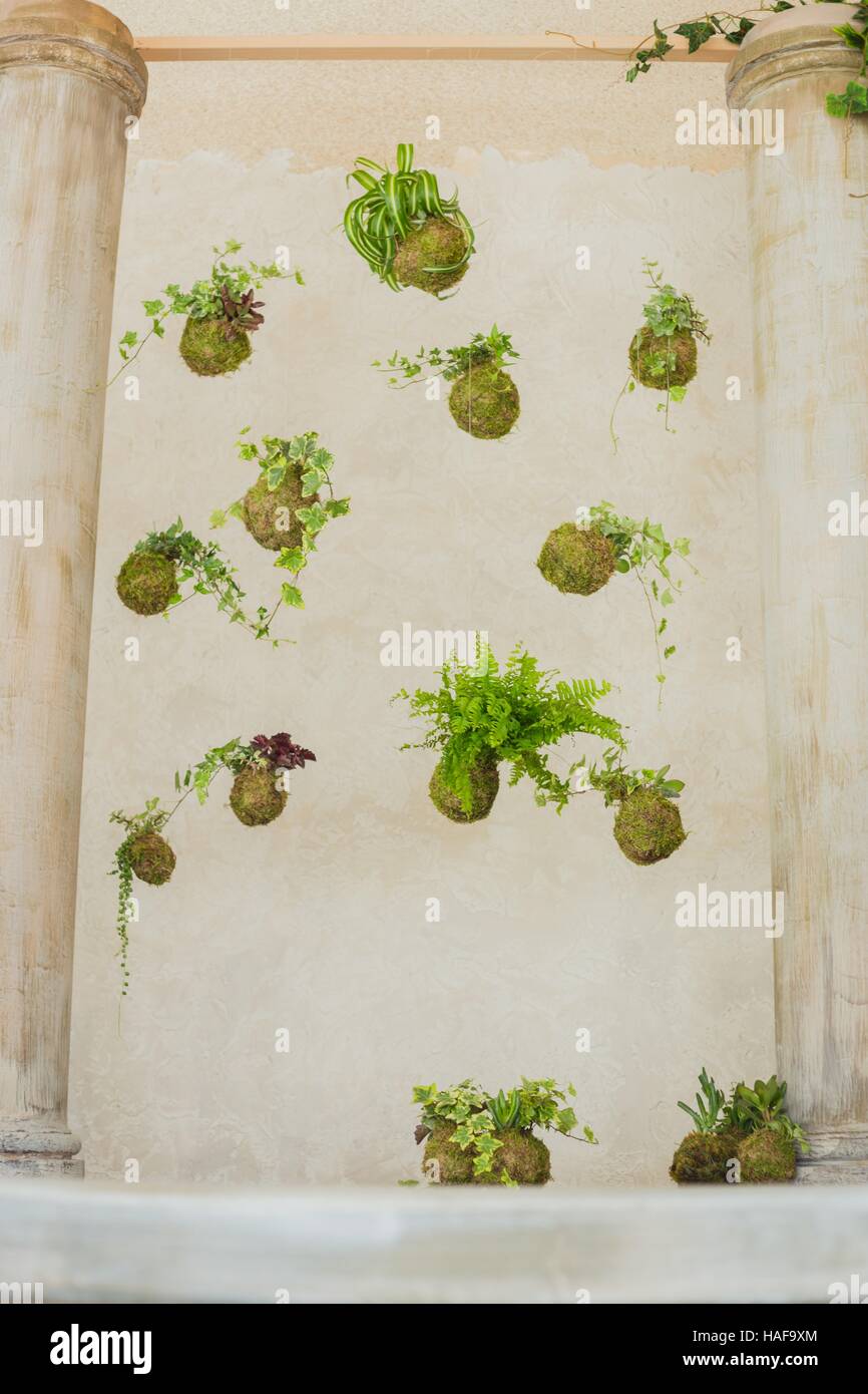 Large and small parterre hi-res stock photography and images - Alamy