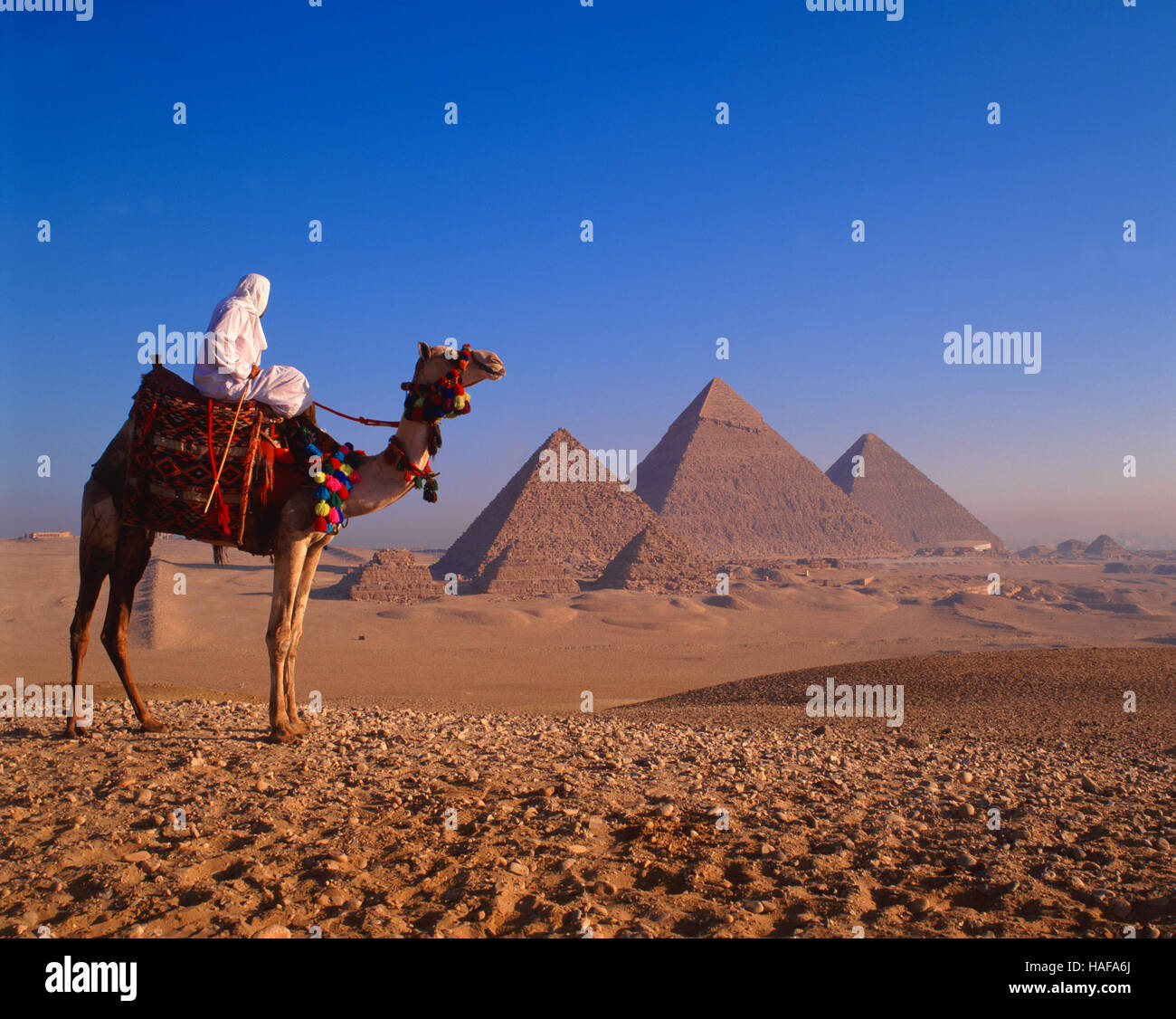 Pyramids and Camel rider, Giza , Cairo, Egypt Stock Photo - Alamy