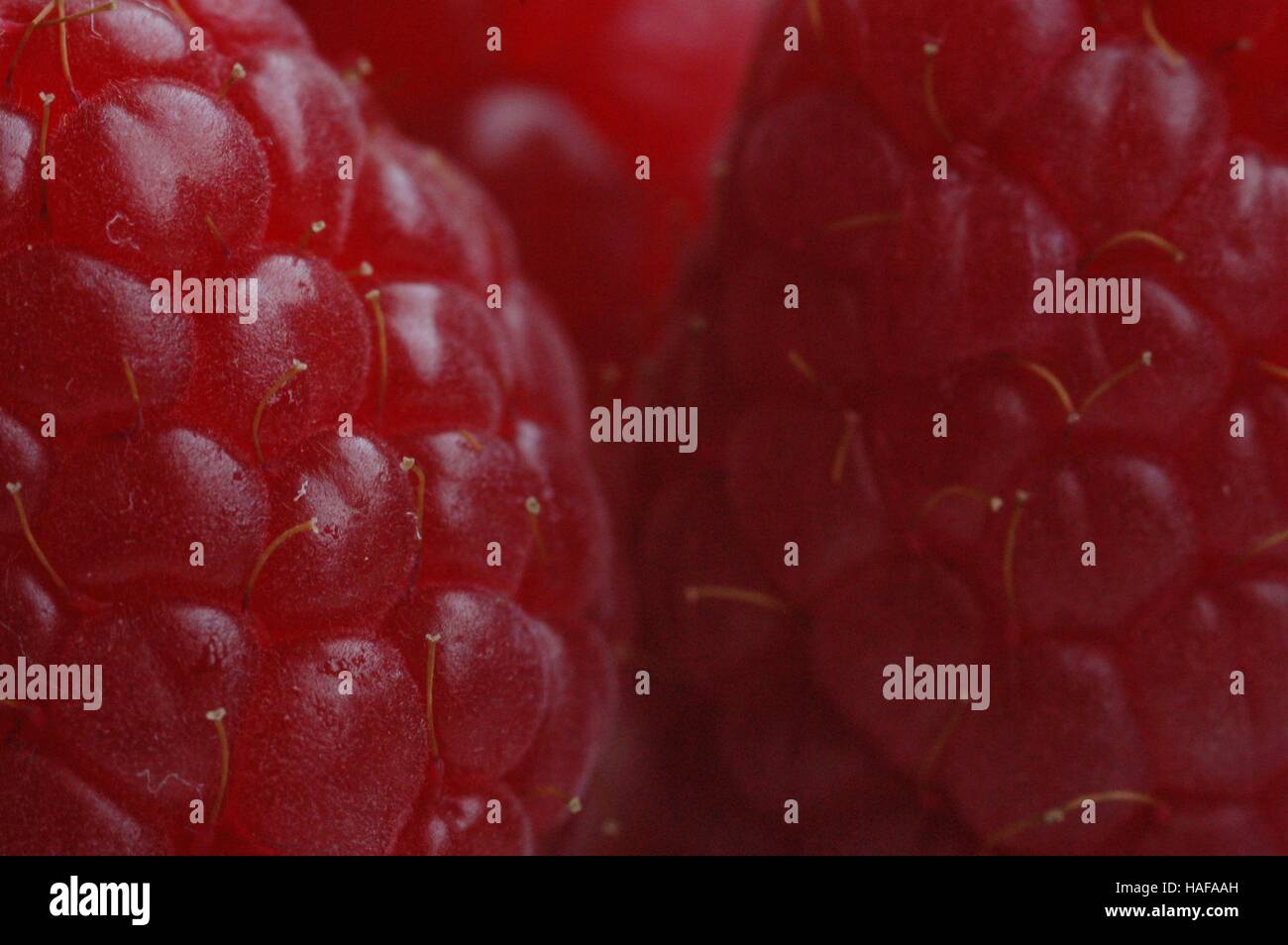 Raspberry closeup macro lens hi-res stock photography and images - Alamy