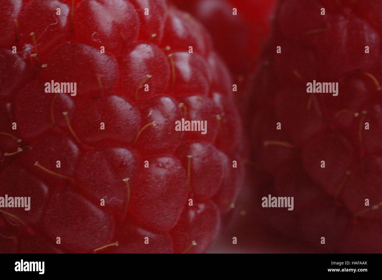 raspberry closeup with macro lens Stock Photo - Alamy