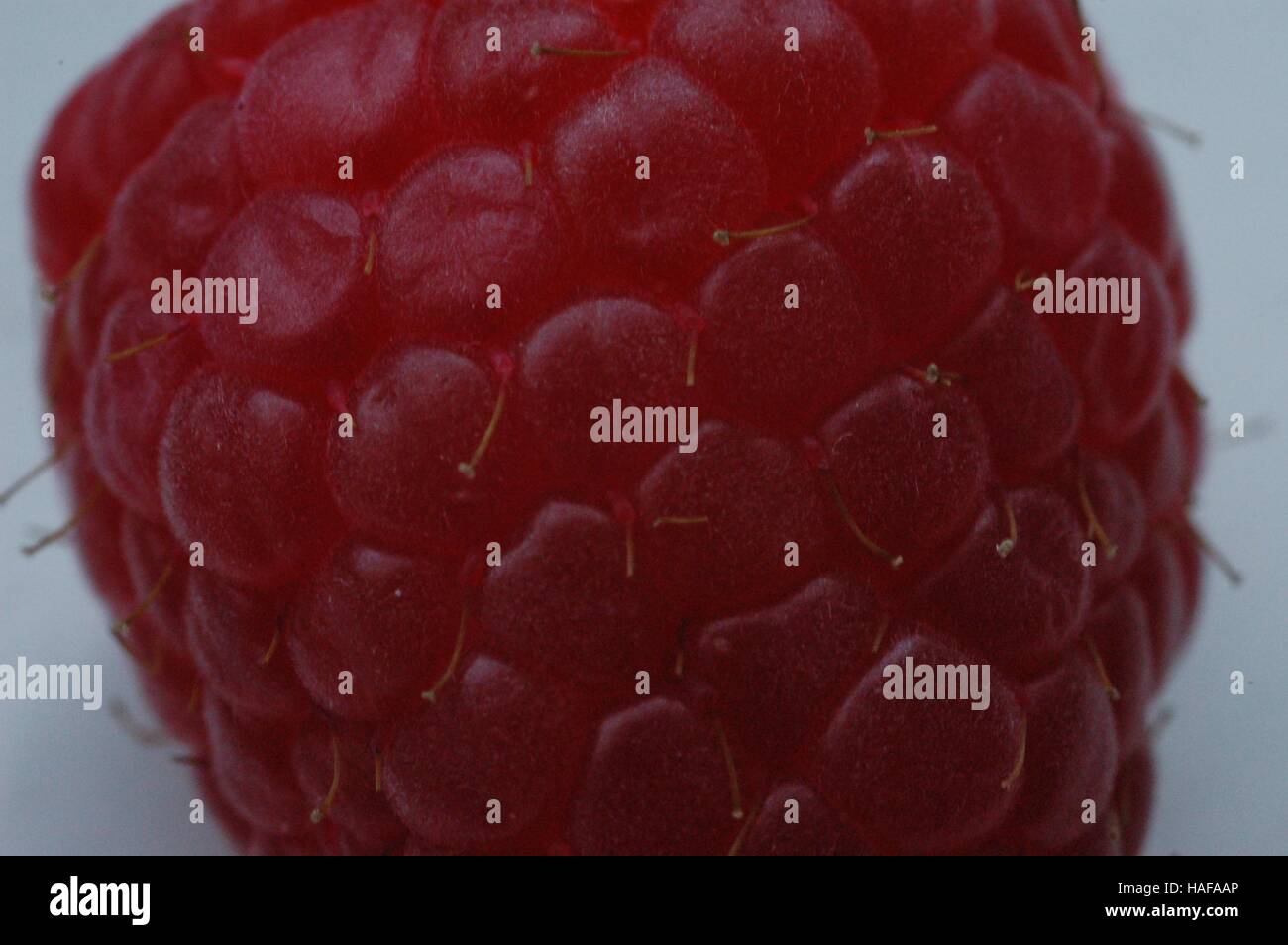 Raspberry close up hairs hi-res stock photography and images - Alamy
