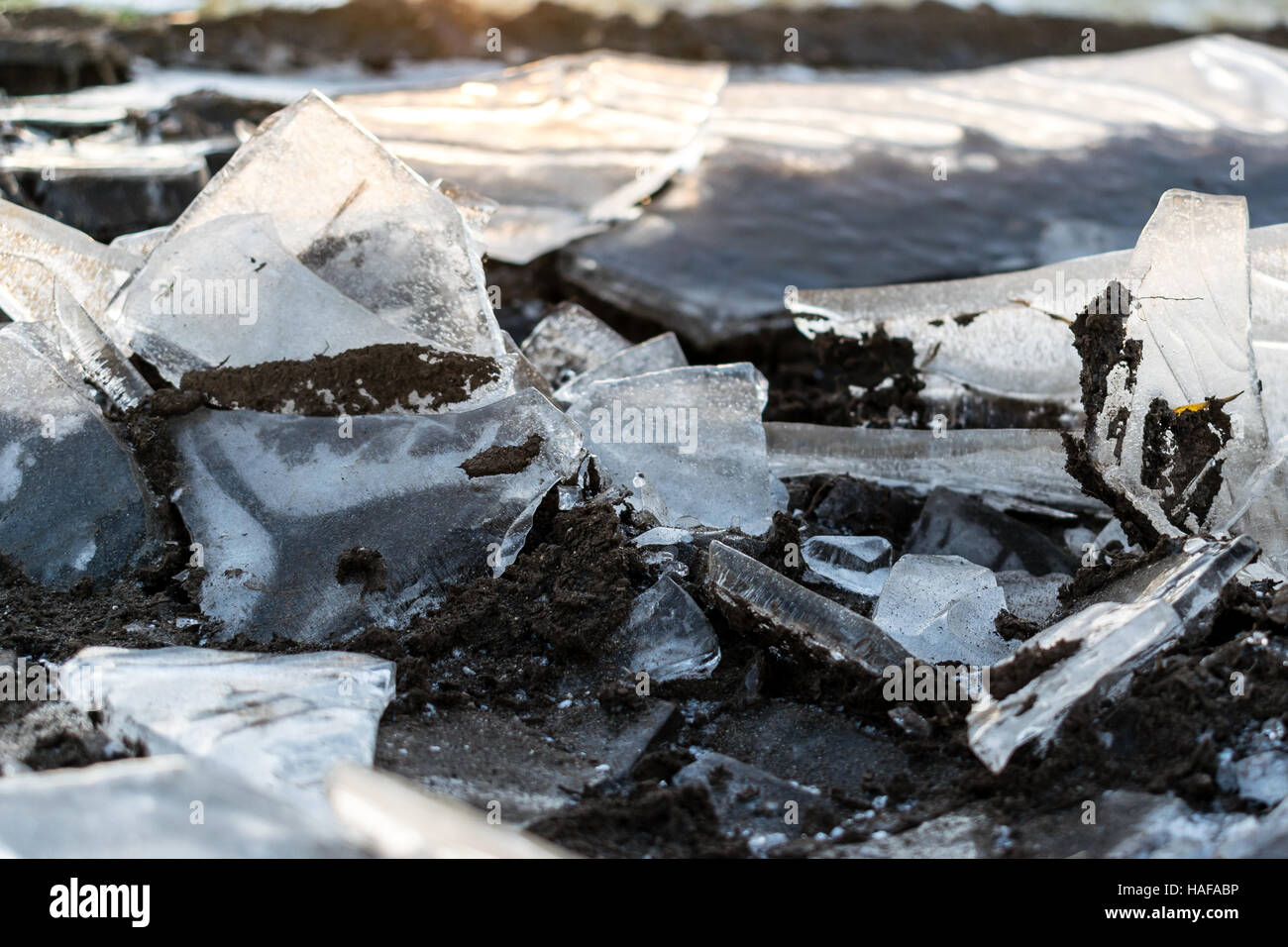 Broken ice in a mud Stock Photo - Alamy