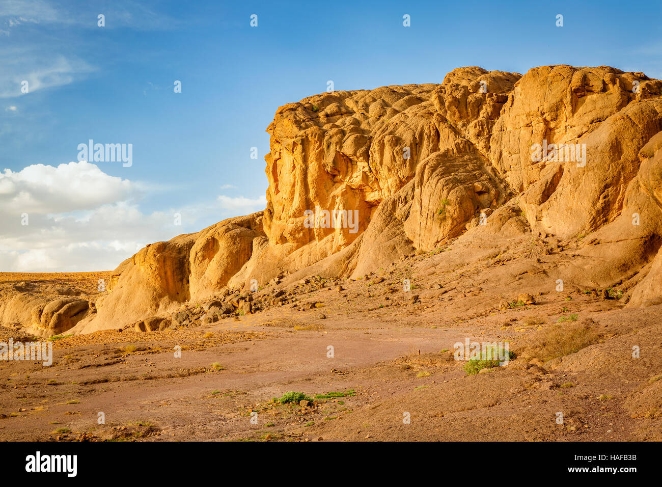 Fint Stock Photos & Fint Stock Images - Alamy