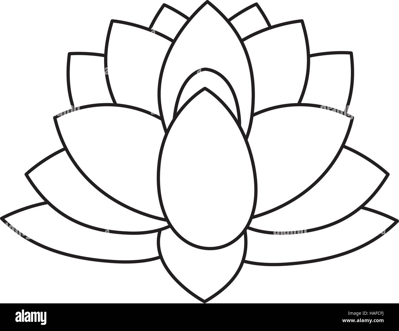 indian lotus flower Stock Vector Image & Art - Alamy