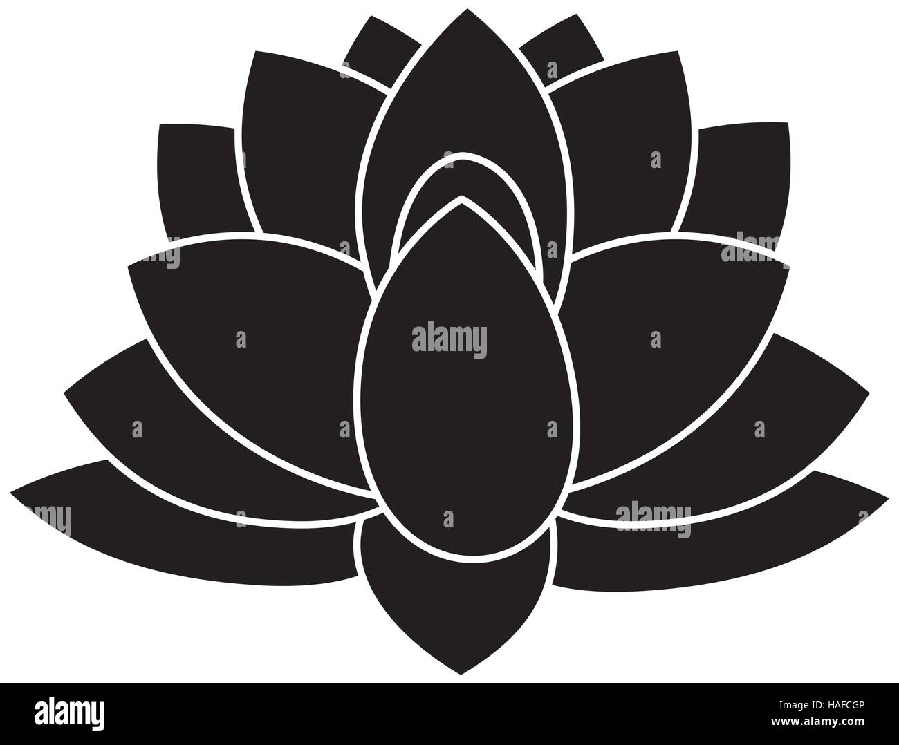 indian lotus flower Stock Vector Image & Art - Alamy