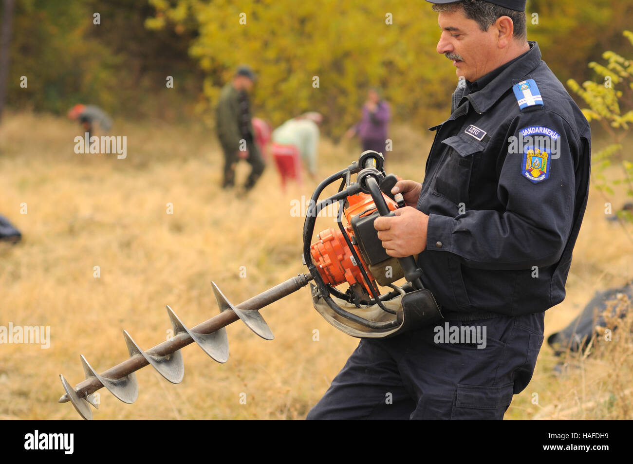 Plantam fapte bune hi-res stock photography and images - Alamy