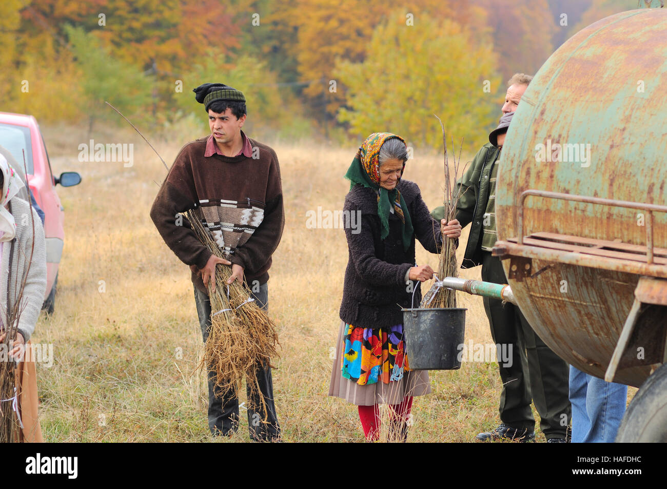 Plantam fapte bune hi-res stock photography and images - Alamy