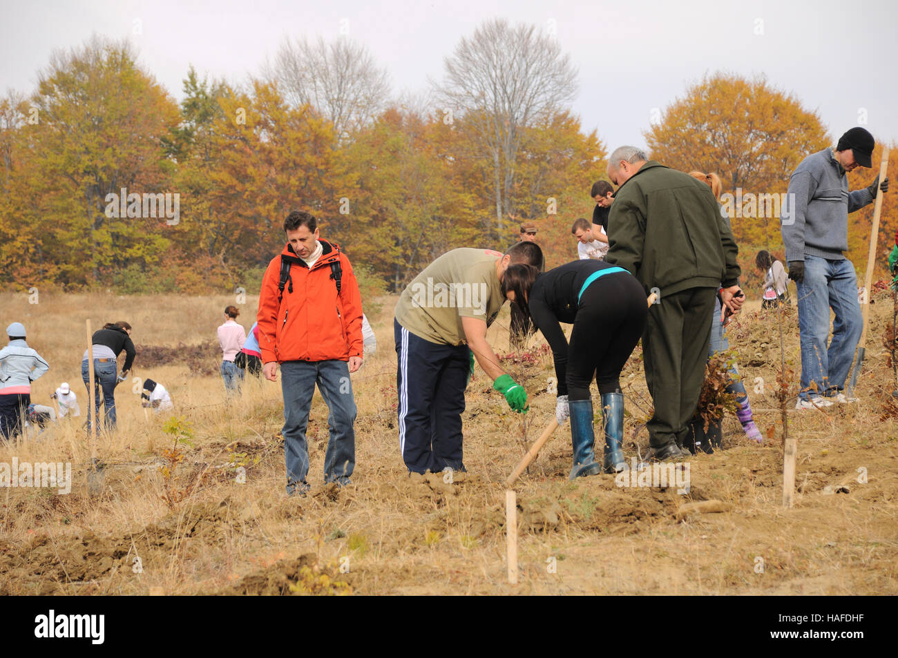 Tigveni, Romania - November 05, 2011: "Plantam fapte bune" forest ...