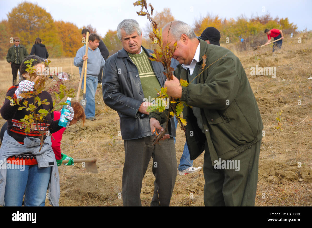Plantam fapte bune hi-res stock photography and images - Alamy