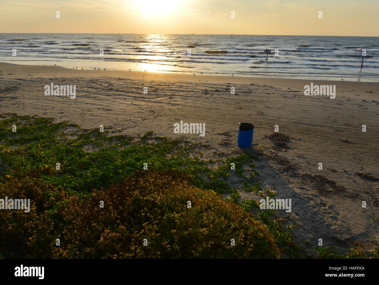 Galveston beach sunrise hi-res stock photography and images - Alamy