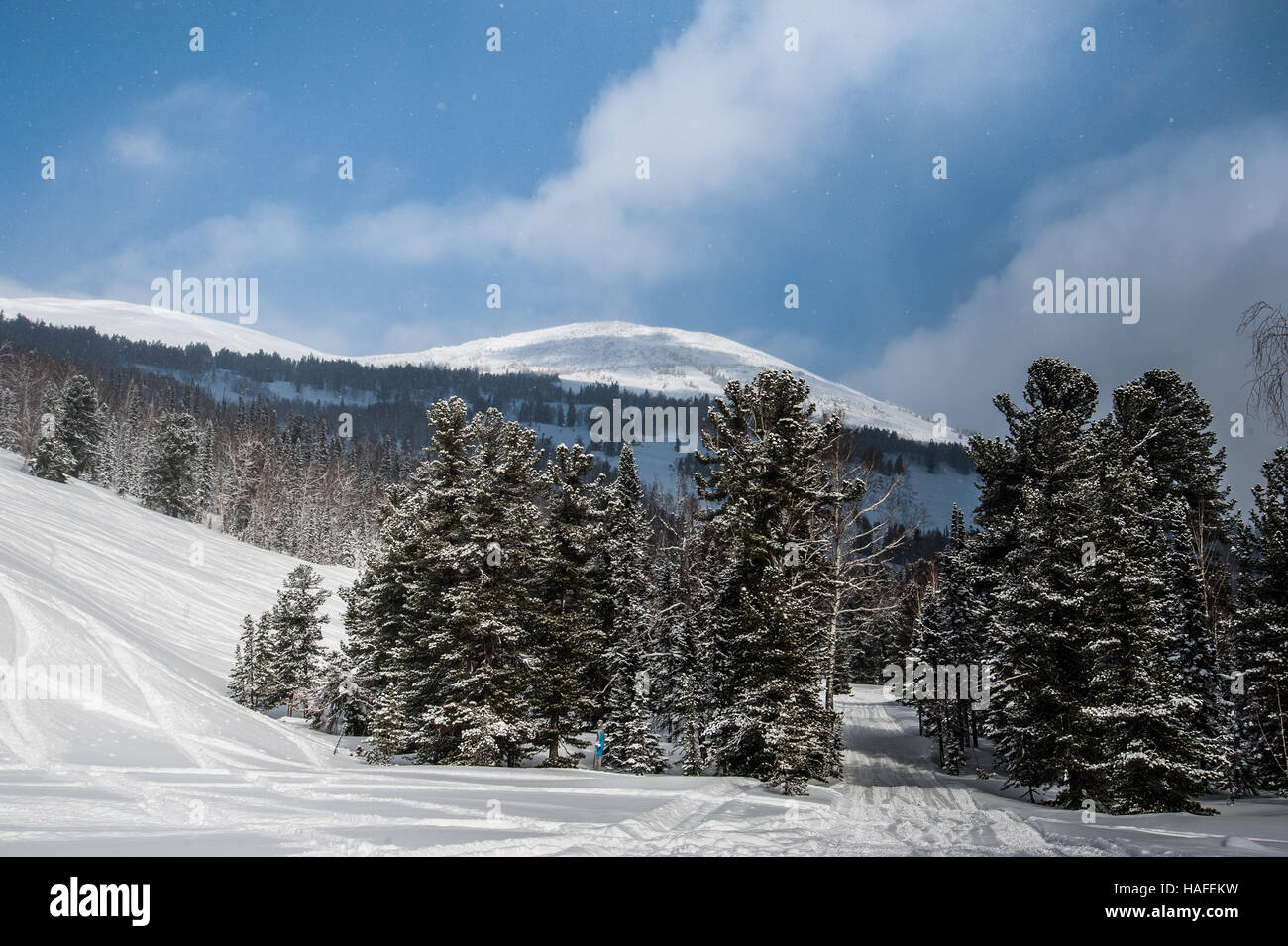 beautiful winter landscape in the forest Stock Photo - Alamy