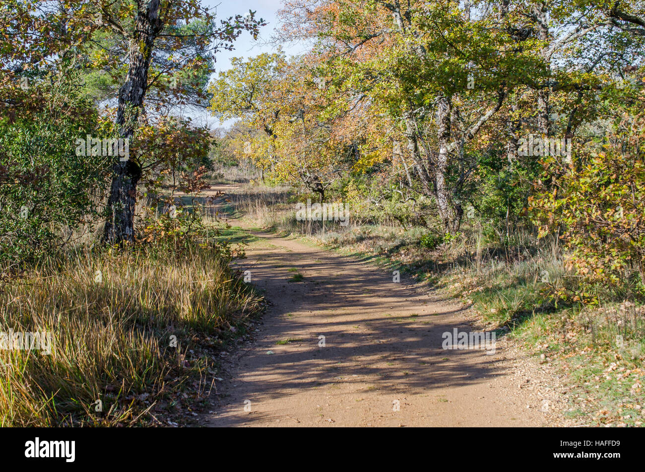 Chemin Du Bois High Resolution Stock Photography and Images - Alamy