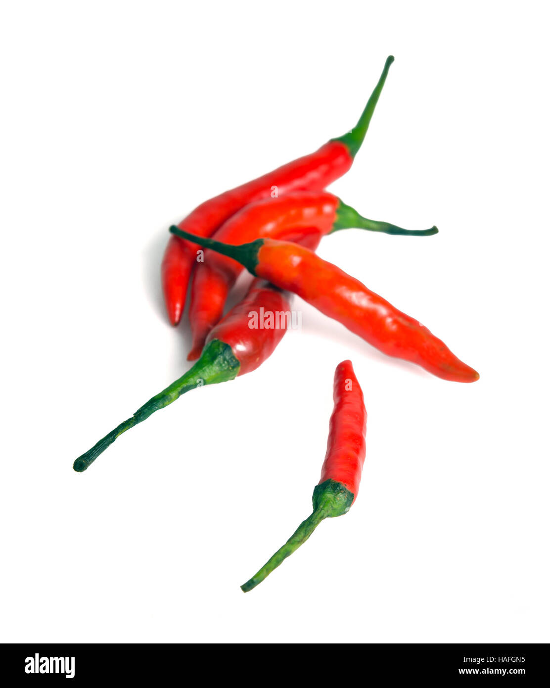 Red hot spicy chili pepper (Also named as chile pepper, Capsicum annuum ...