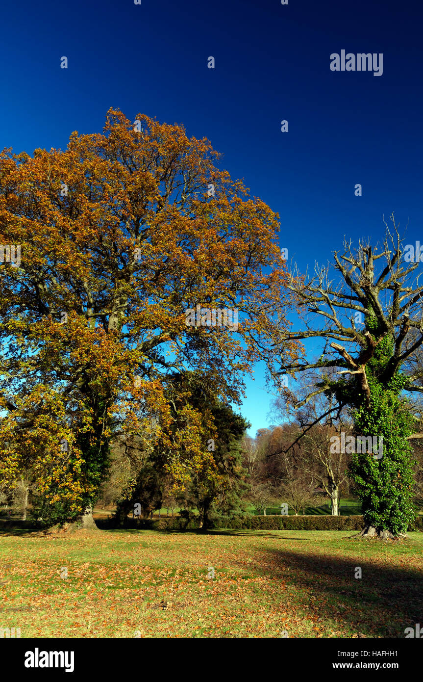 Pontymoile gates pontypool park hanbury autumn november torfaen wales ...
