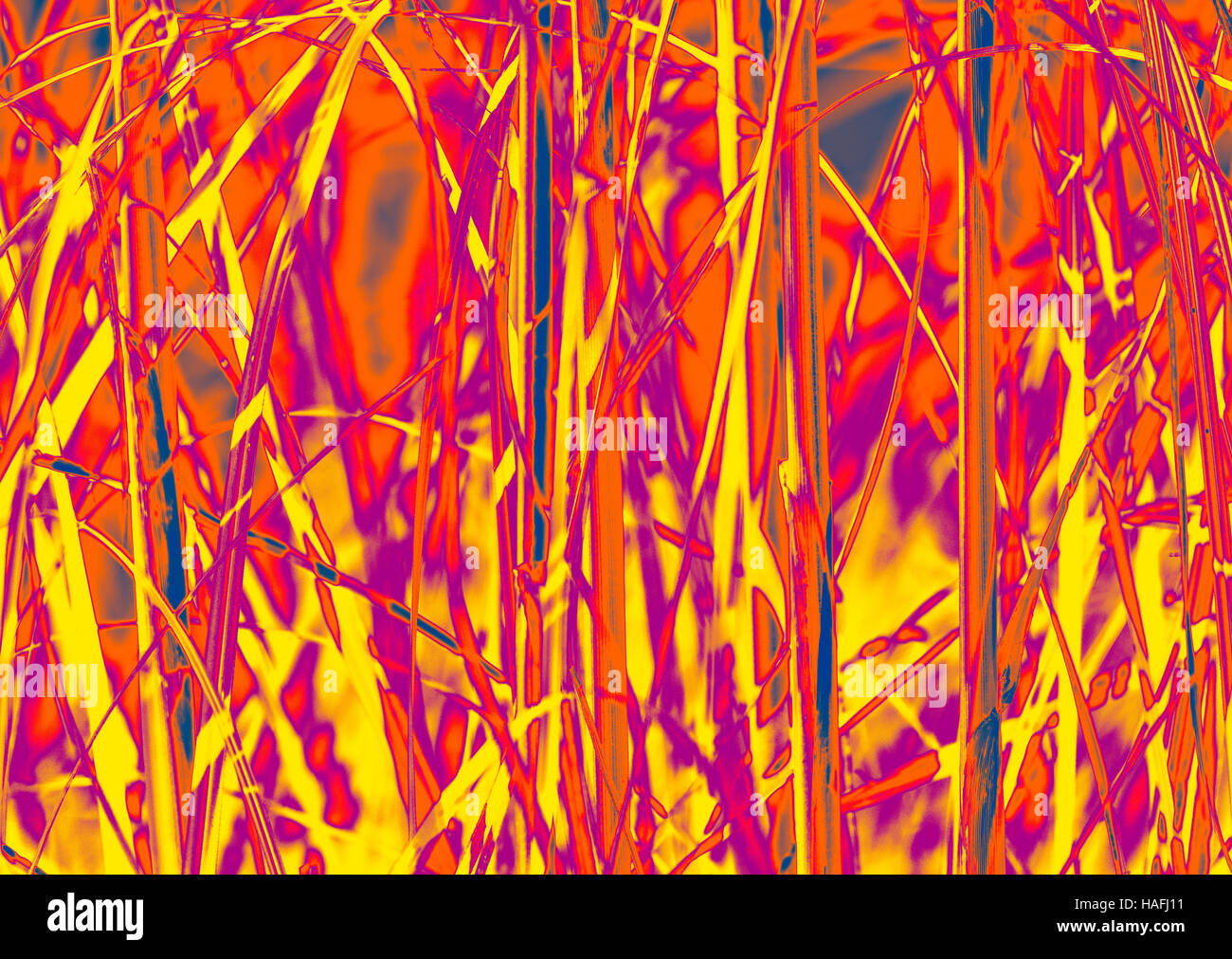 Freaky grass hi-res stock photography and images - Alamy