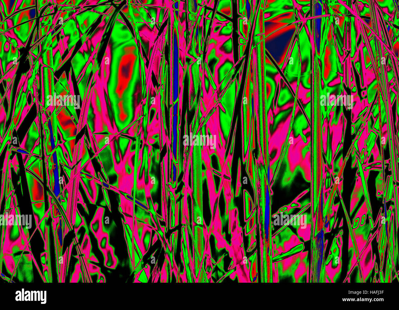 Freaky Grass High Resolution Stock Photography and Images - Alamy