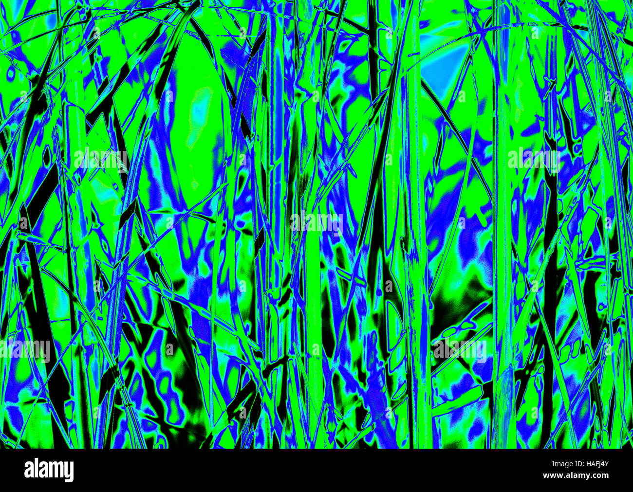 Freaky grass hi-res stock photography and images - Alamy