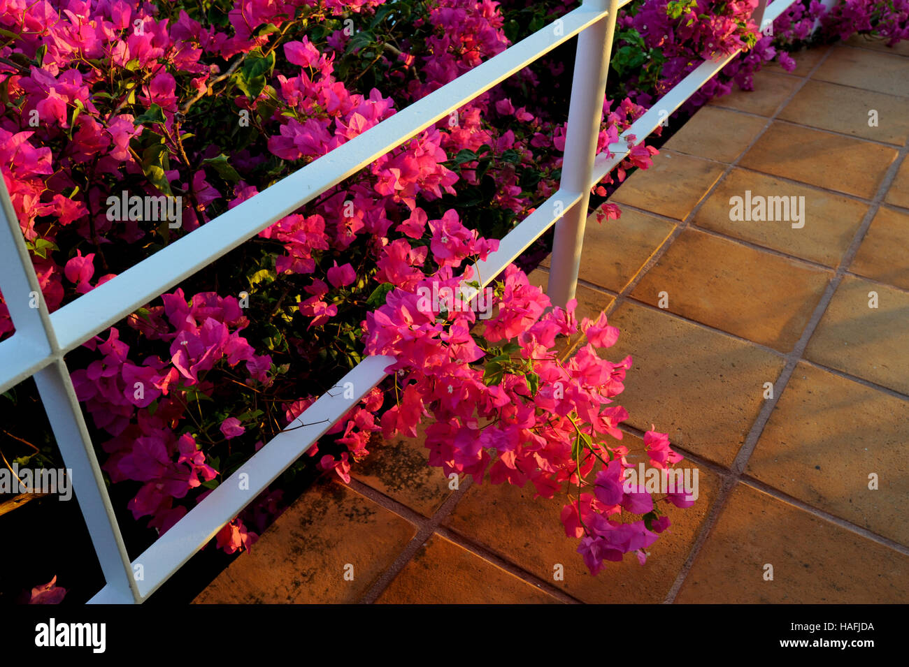, Acapulco, Mexico Stock Photo - Alamy