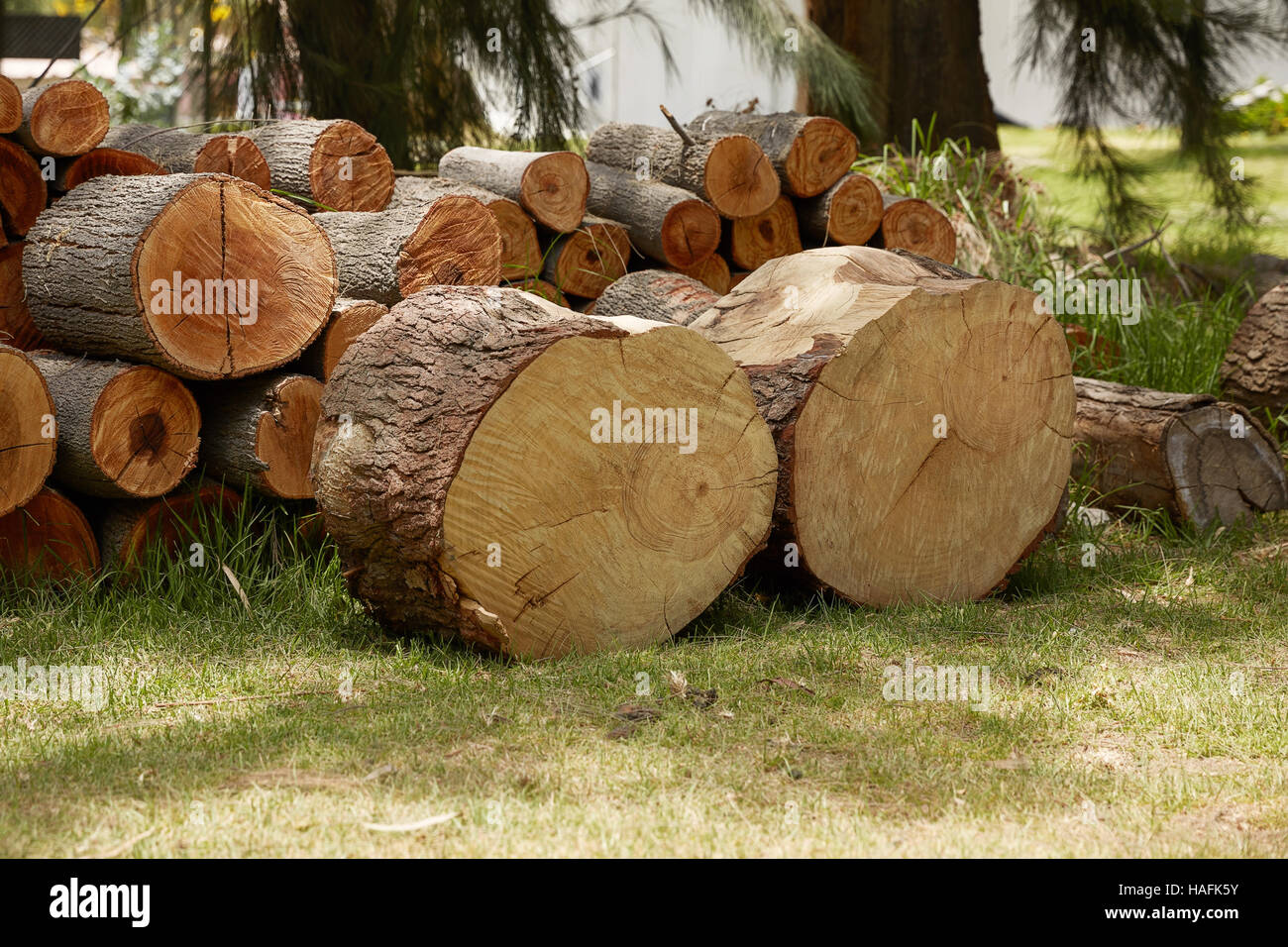 Organized woodpile hi-res stock photography and images - Alamy
